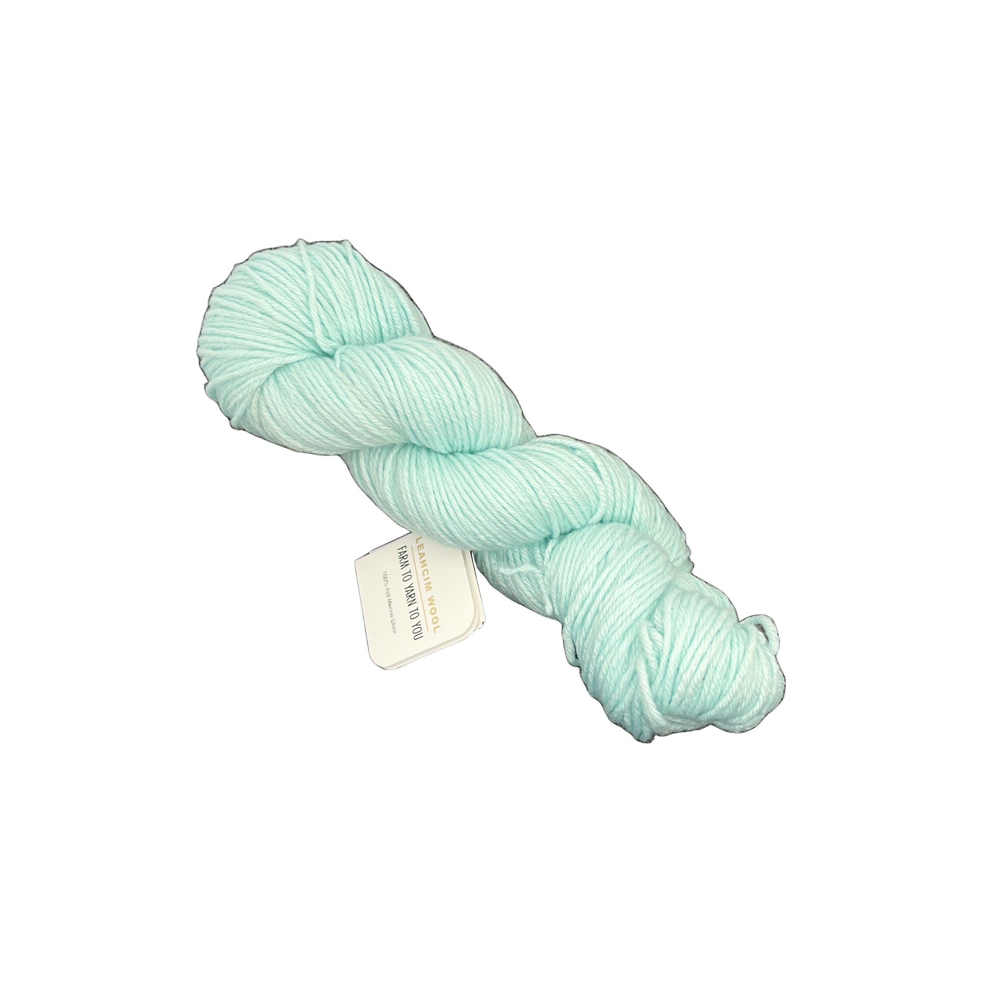 Aqua 8 Ply Skein | Leahcim Wool